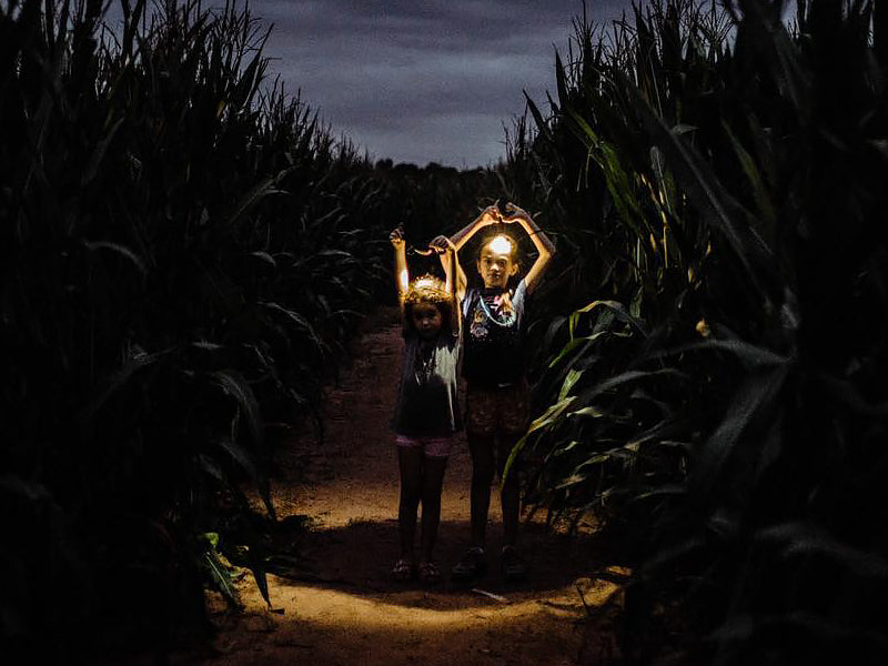 Flashlight Nights – Maryland Corn Maze