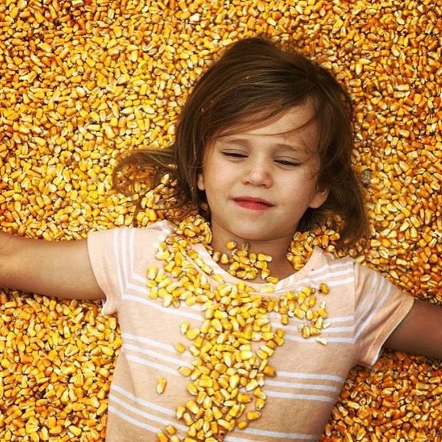 Farm Yard Activities – Maryland Corn Maze