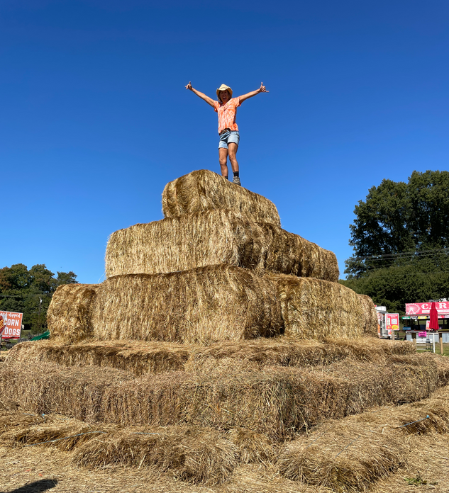 Farm Yard Activities – Maryland Corn Maze