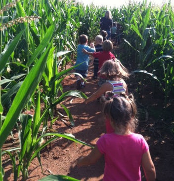 Field Trips – Maryland Corn Maze