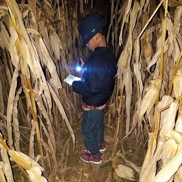 Flashlight Nights – Maryland Corn Maze